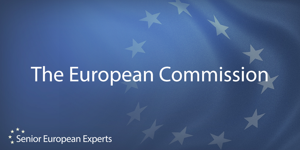 European & International Analysts Group The European Commission ...