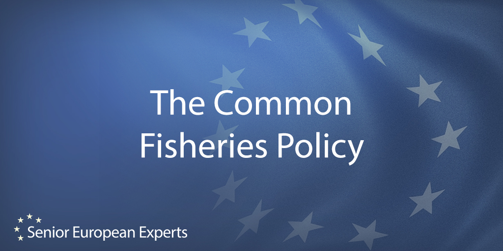European & International Analysts Group The Common Fisheries Policy ...