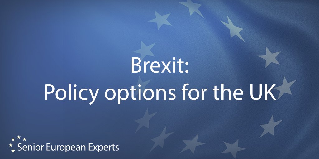 European & International Analysts Group Brexit: Policy options for the ...